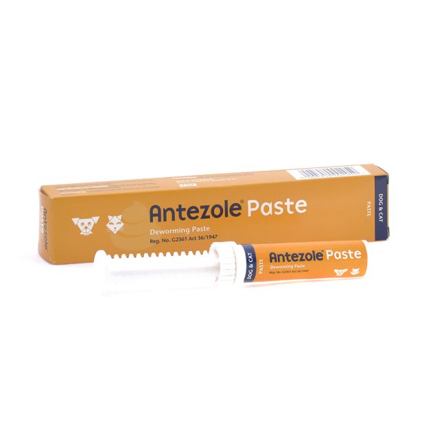 Buy Antezole Deworming Paste for Dogs and Cats Online | ePETstore