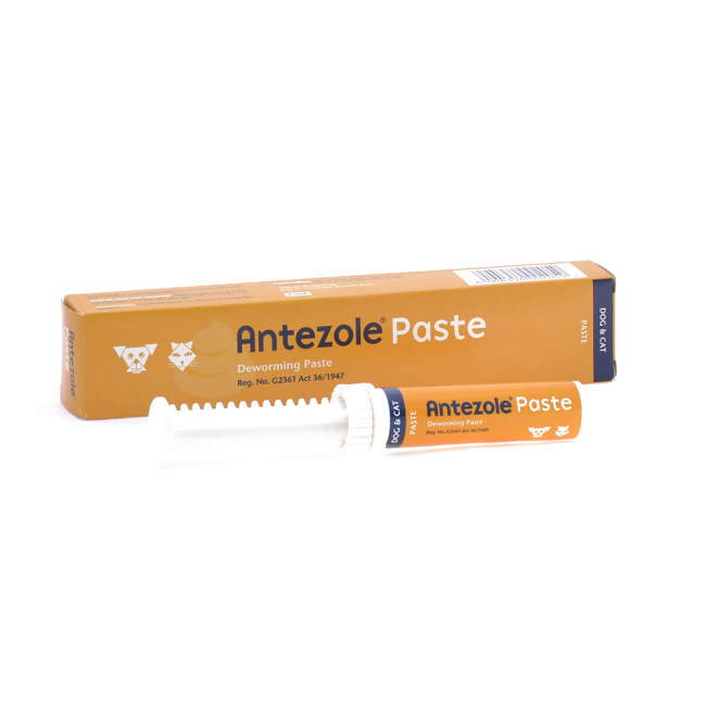Buy Antezole Deworming Paste for Dogs and Cats Online | ePETstore