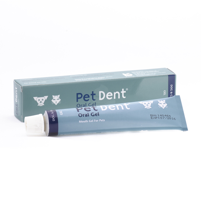 Buy Pet Dent Oral Gel for Dogs & Cats Online | ePETstore
