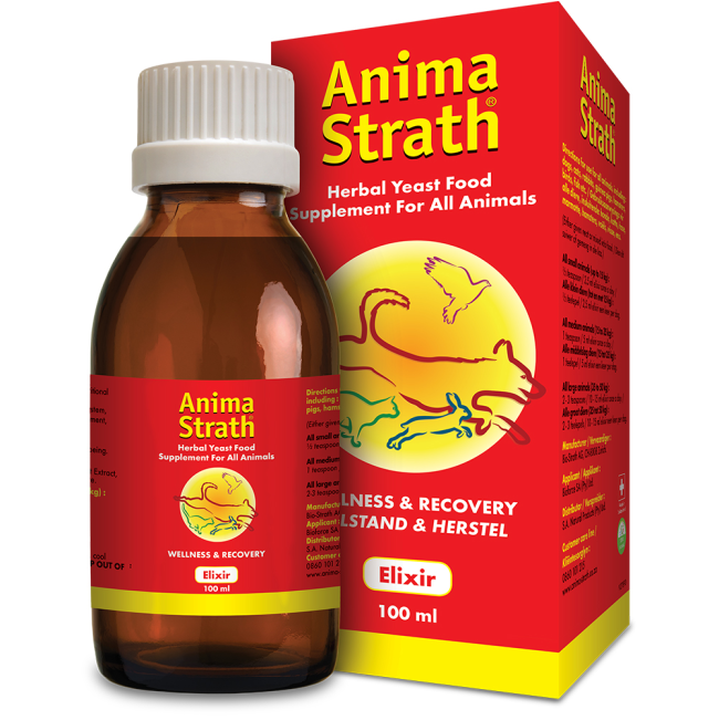 Buy Anima-Strath Elixir Pet Supplement Online | ePETstore