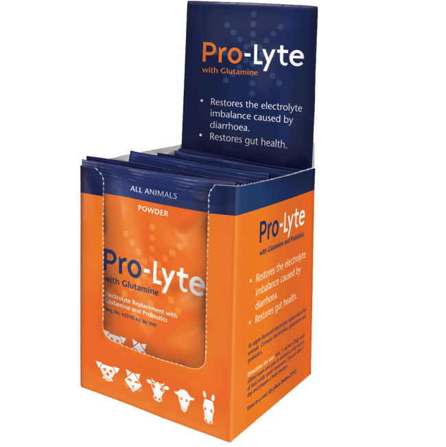 Pro-Lyte with Glutamine for Dogs and Cats | ePETstore
