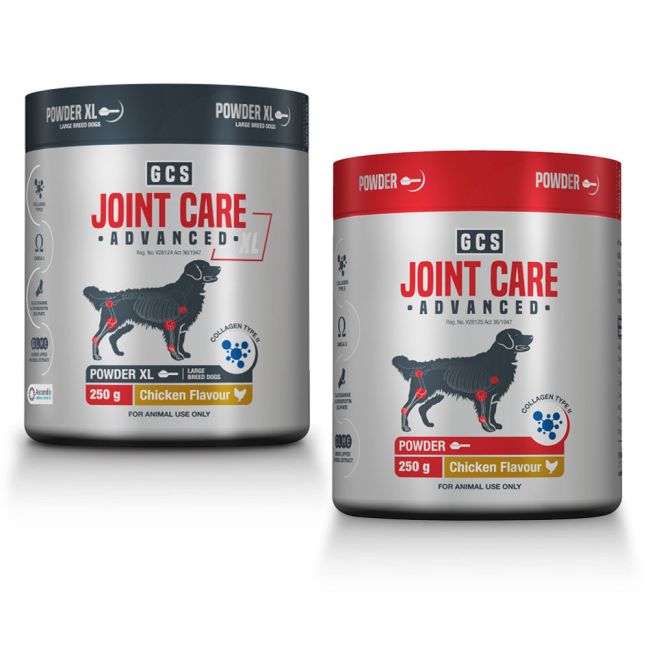 Buy GCS Joint Care Advanced Powder For Dogs Online | ePETstore