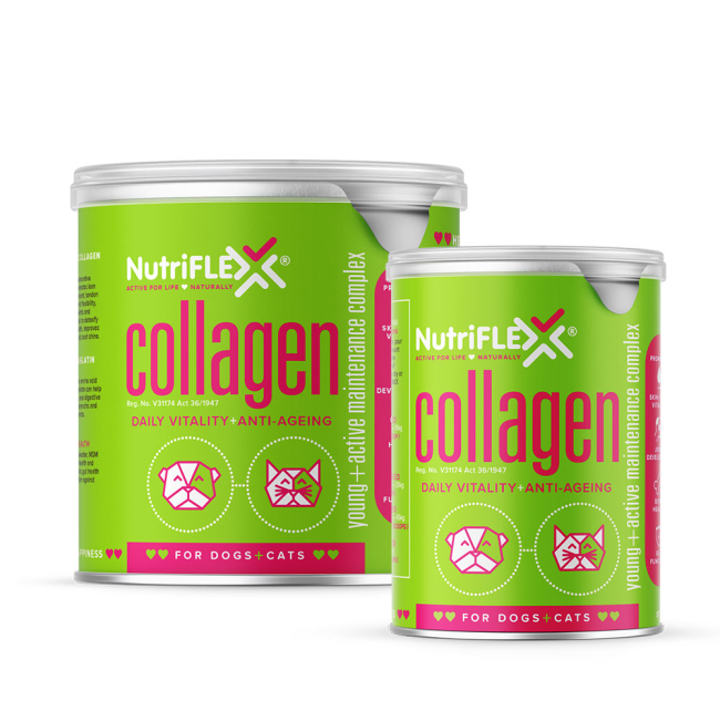 NutriFlex Maintenance Collagen for Dogs and Cats Online | ePETstore