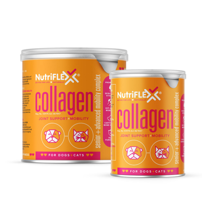 NutriFlex Advanced Mobility Supplement for Dogs and Cats | ePETstore