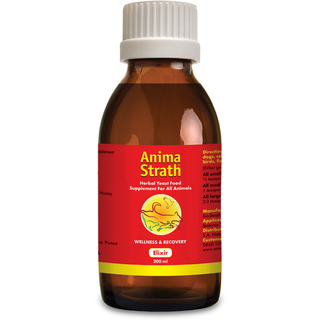 Buy Anima-Strath Elixir Pet Supplement Online | ePETstore