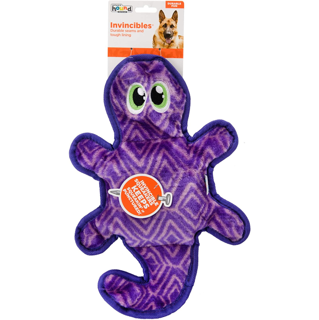 Shop Invincible Gecko Dog Chew Toy Online | ePETstore