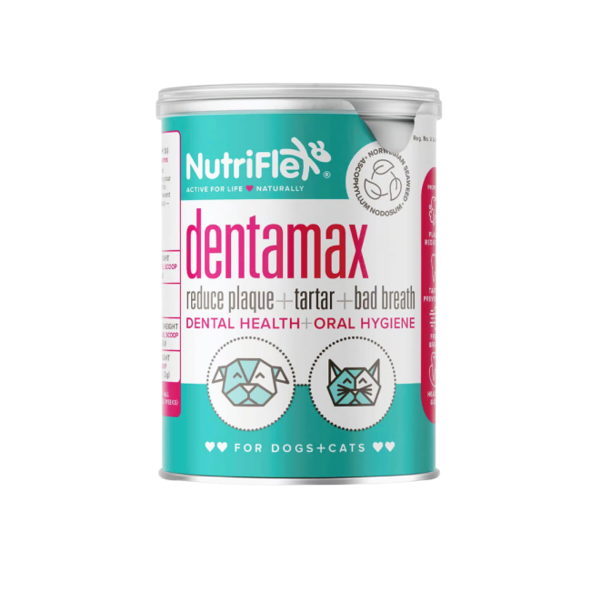 NutriFlex DentaMax Powder For Dogs and Cats | ePETstore