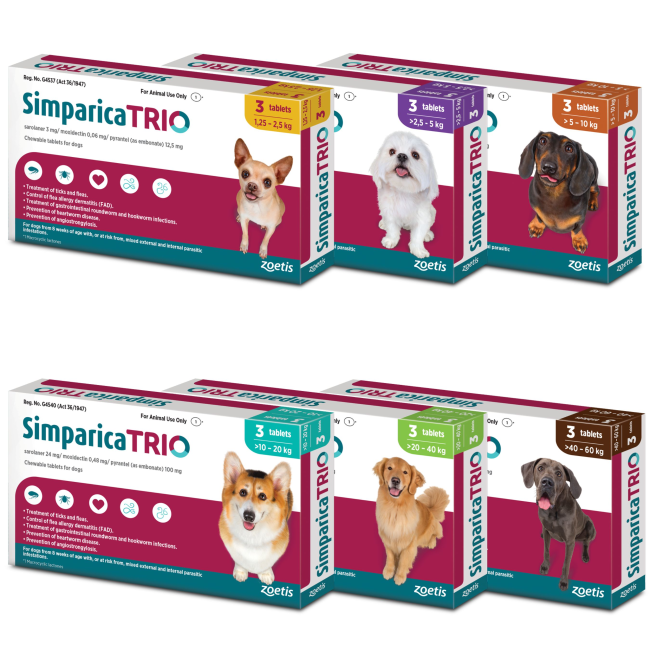 Simparica Trio Tick & Flea Chew For Dogs | ePETstore
