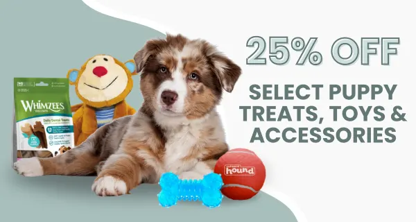 Product Specials | ePETstore