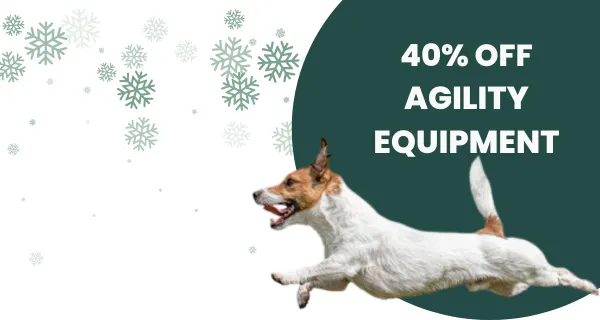 Product Specials | ePETstore