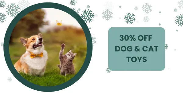 Product Specials | ePETstore