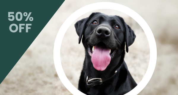 Product Specials | ePETstore