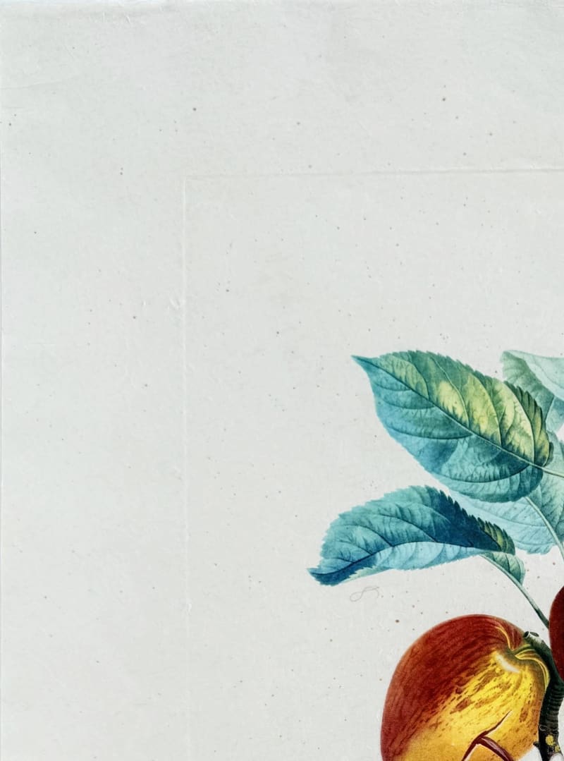 Salvador Dali - Dragon Apple from Flordali suite, 1969 - Epicentrum Art ...