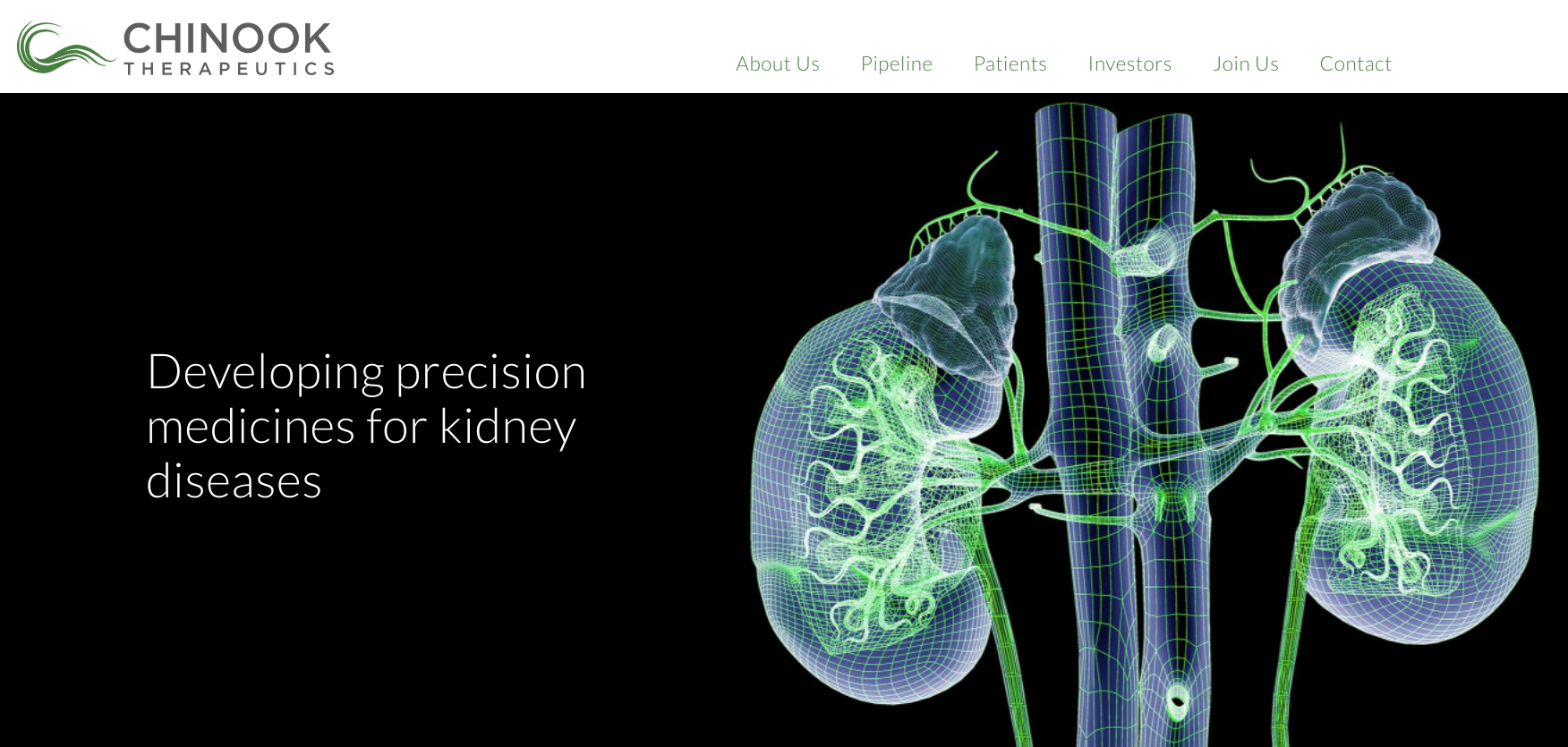 Chinook Therapeutics Raises $105 Million for Kidney Disease Therapies ...