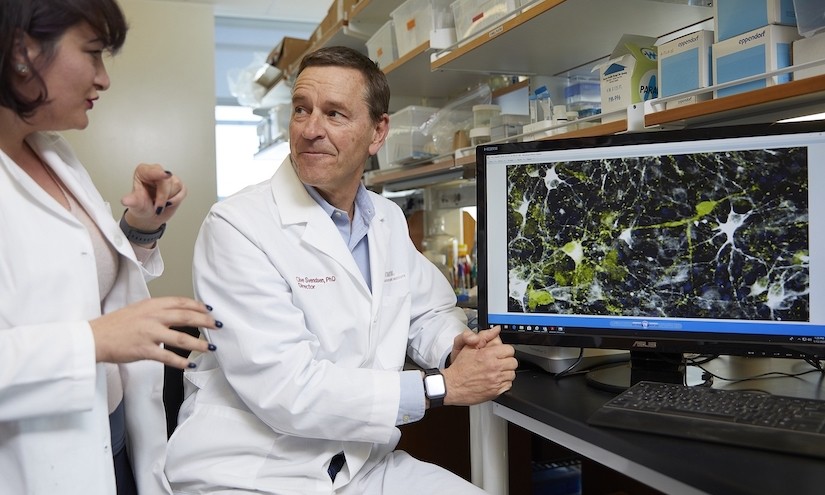 Cedars-Sinai Study Indicates That Parkinson's Disease May Start Before ...