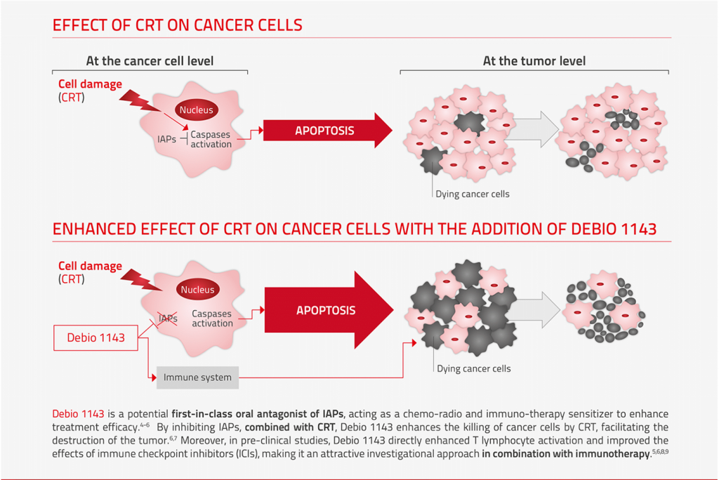 Merck Licenses Head and Neck Cancer Drug From Debiopharm for Up to $1.1 ...