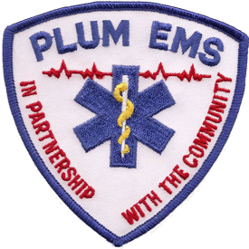 Plum EMS Bill Pay