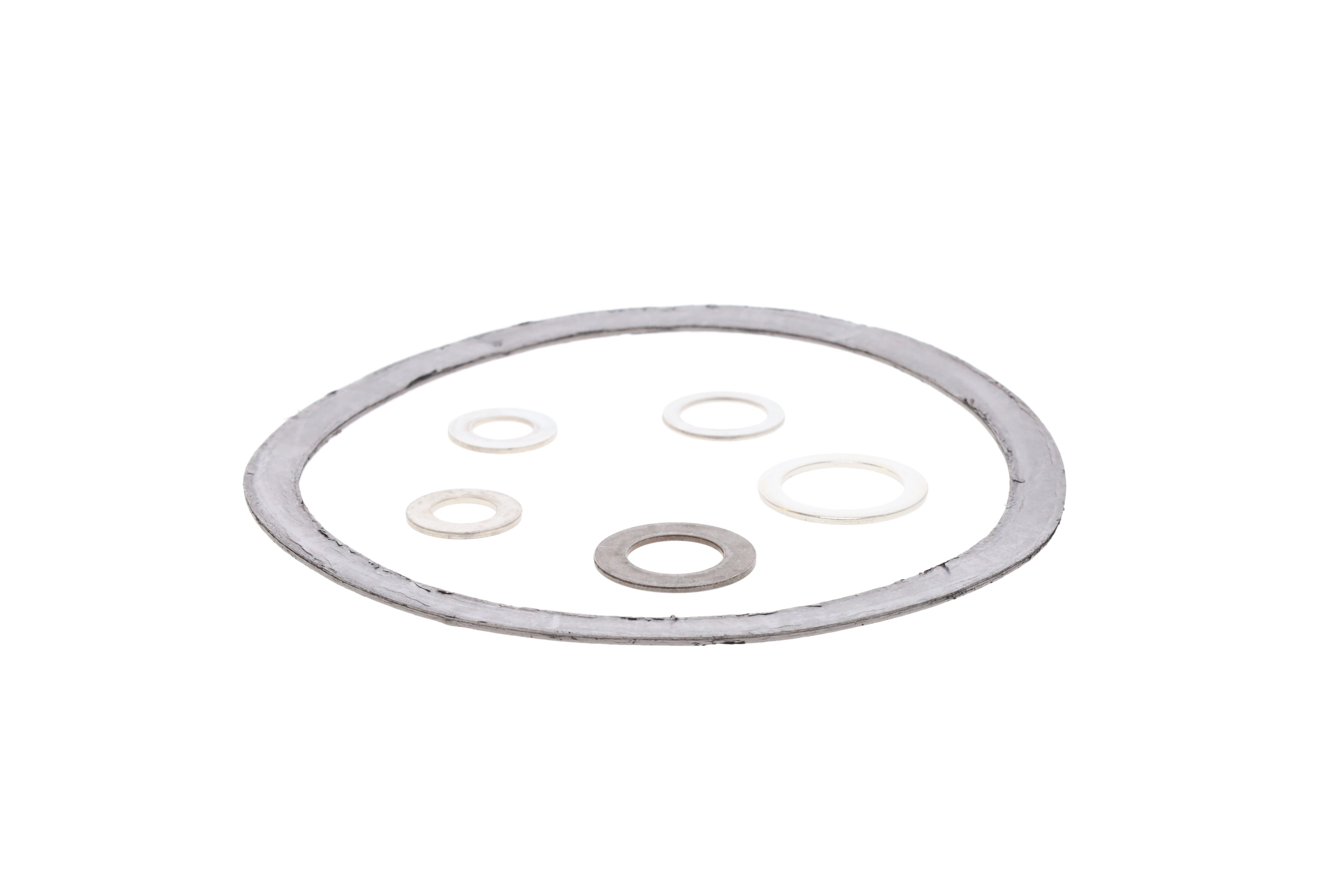 0660085 Gasket by SPIRAX SARCO