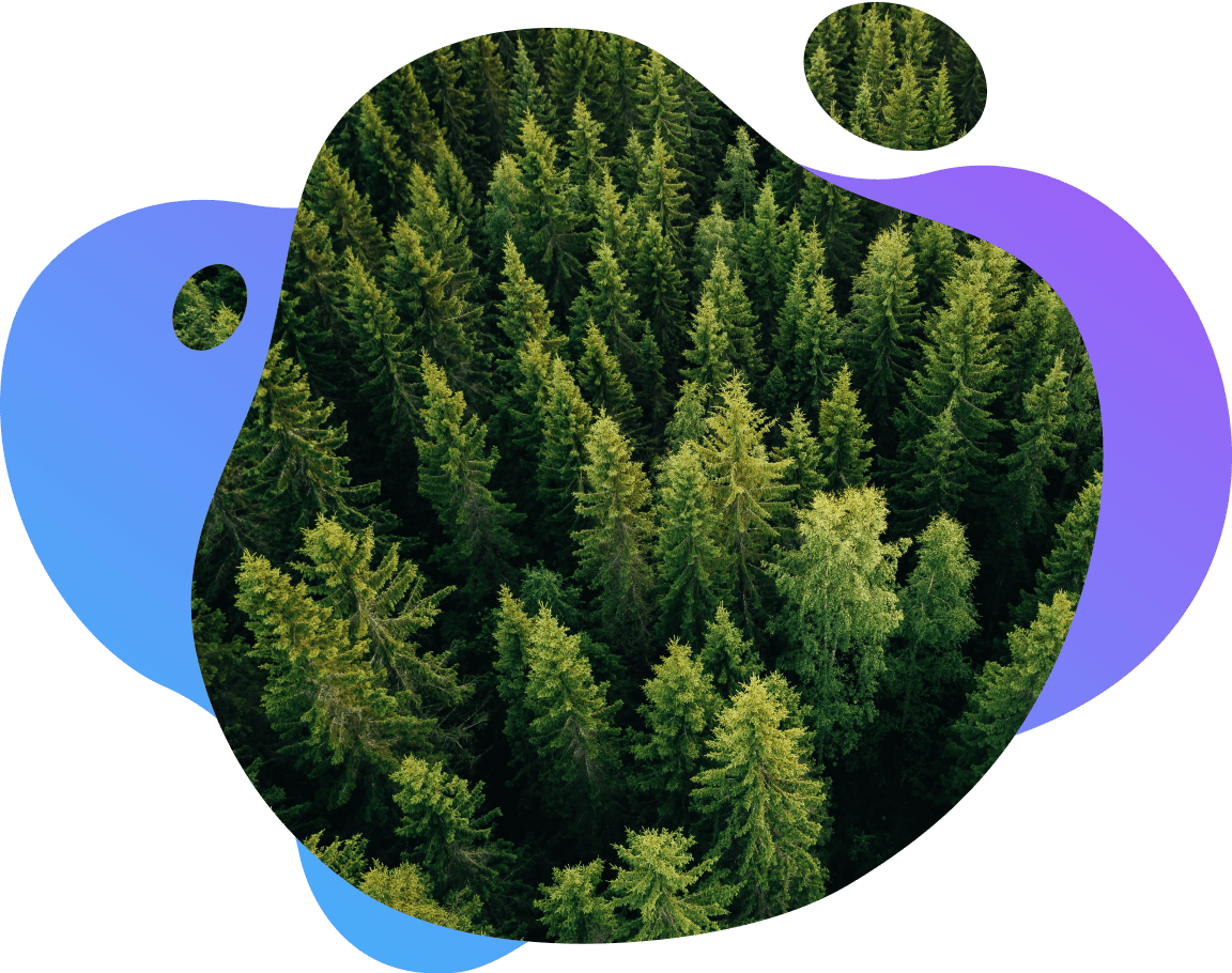 Una scelta ecologica