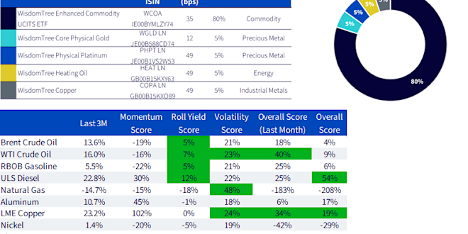 WisdomTree Commodity Models | eToro Smart Portfolio – No Management Fees