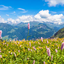 Camping Holidays Bernese Oberland | Switzerland | Eurocamp
