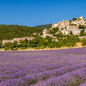 Camping i Provence | Ferier i Provence | Eurocamp.dk