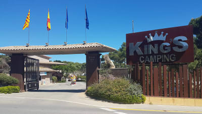 Camping kings store