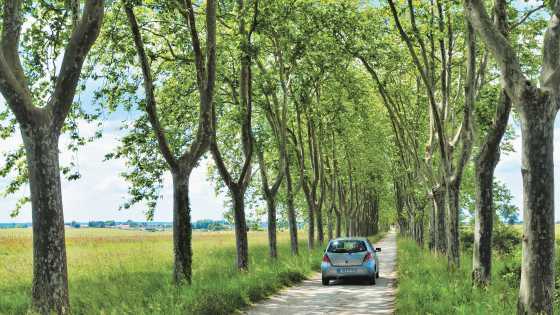 Crit’Air Clean Air Sticker - Everything to know | Eurocamp