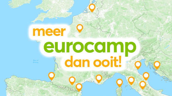 Ontdek al het nieuws in 2024