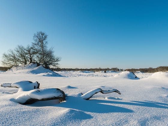Winter adventures in the Netherlands | Eurocamp