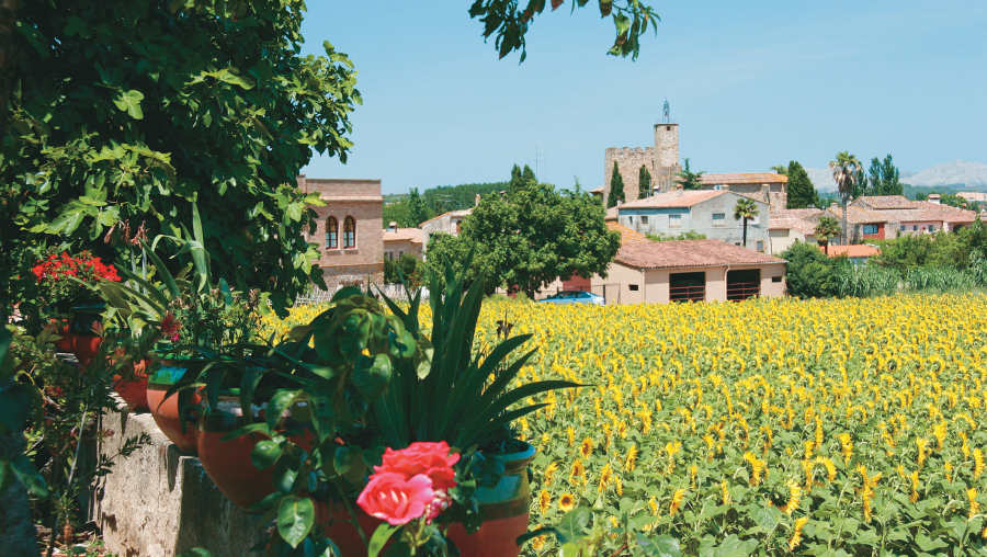 Camping Holidays in Barcelona | Spain | Eurocamp