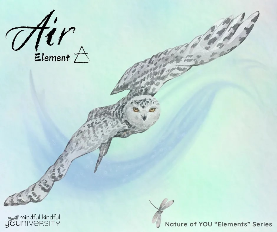 Nature of YOU: Air Element / Sound Journey ++ / Los Osos | My805Tix