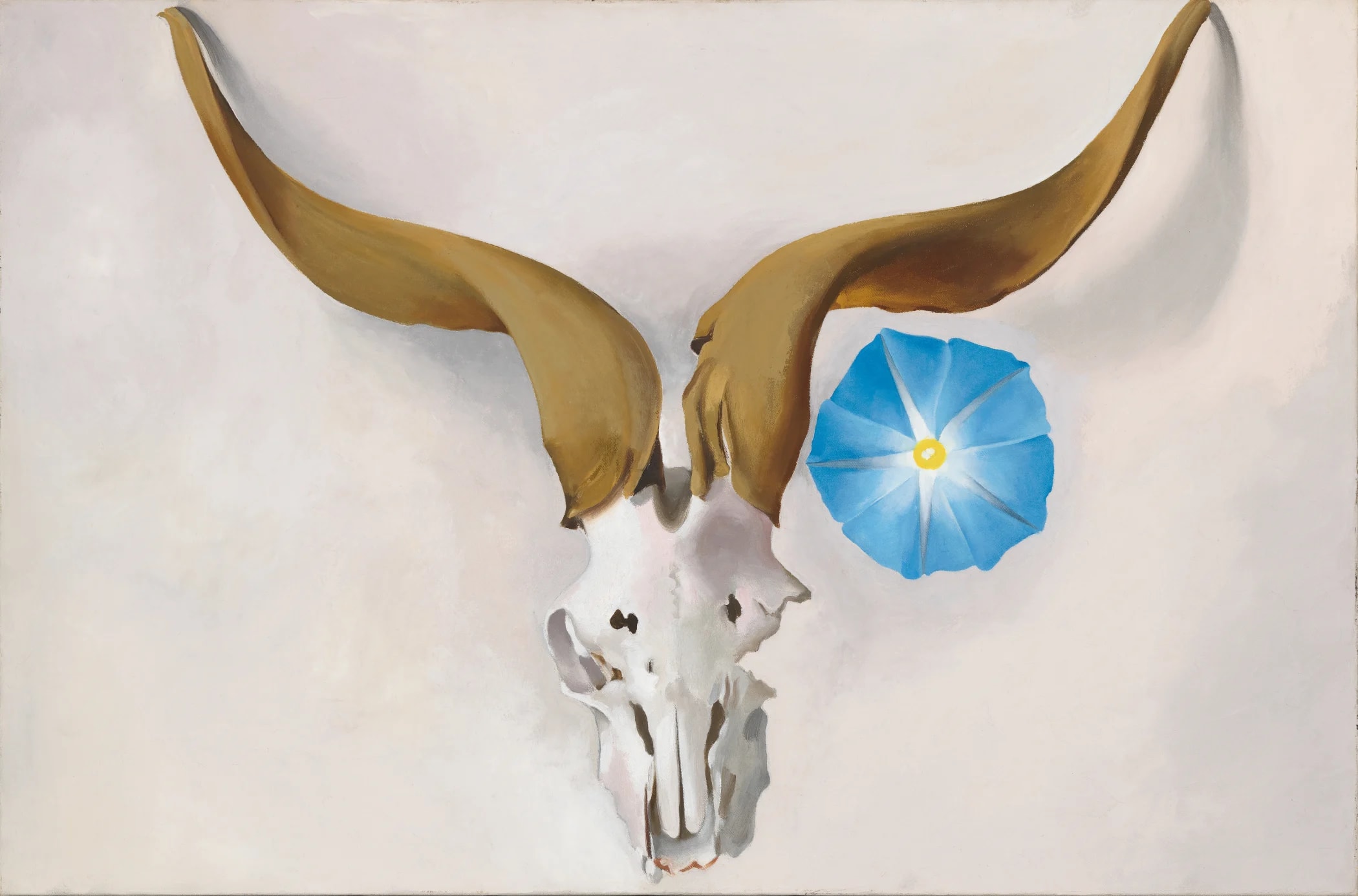 Georgia O’Keeffe Museum – Walk & Talk | Red Zia Events