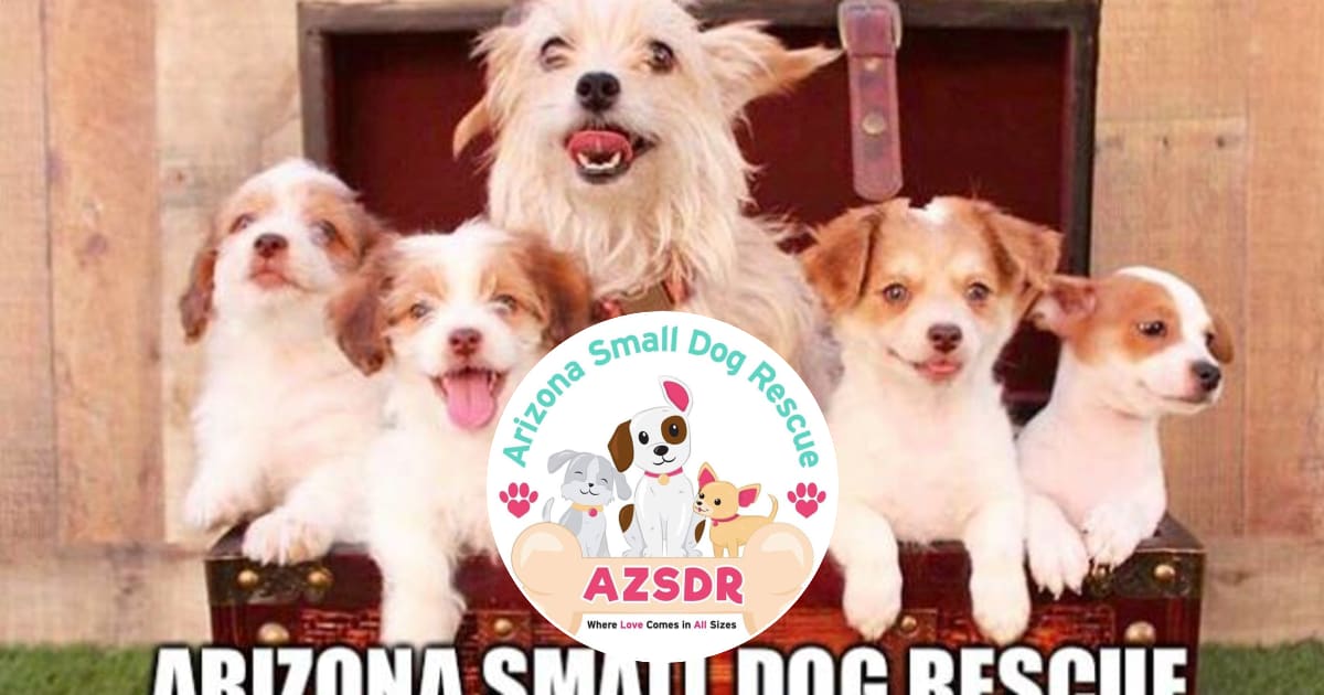 Arizona Small Dog Rescue | Every.org