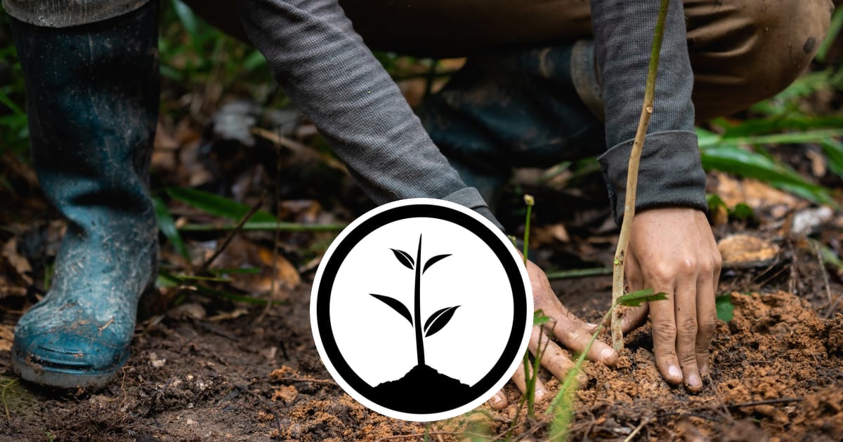 One Tree Planted | Every.org | Every.org