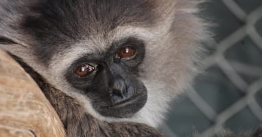 Animals | Every.org