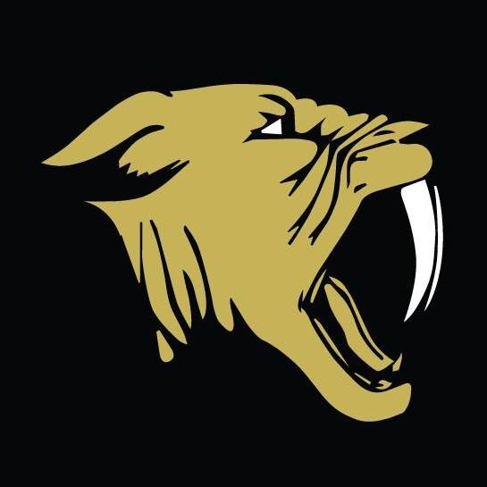 Franklin Sabers Football - GridIron Club - Every.org