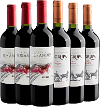 Kit 3 Viña de Los Andes Malbec + 3 La Grupa Gran Selección