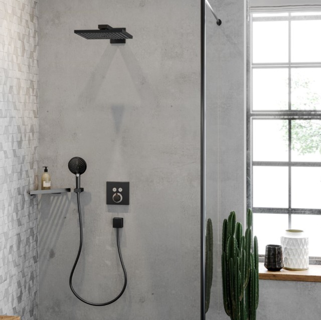 Hansgrohe Raindance Select S 120 hånddusj, matt sort | 26530670