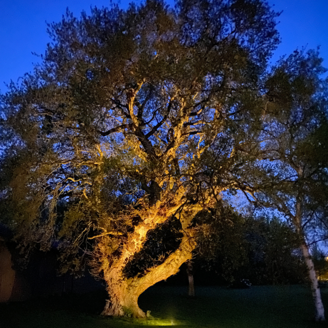 Light By Juul belegningsstein med Juulius 3 vippespotlight, earl blue ...