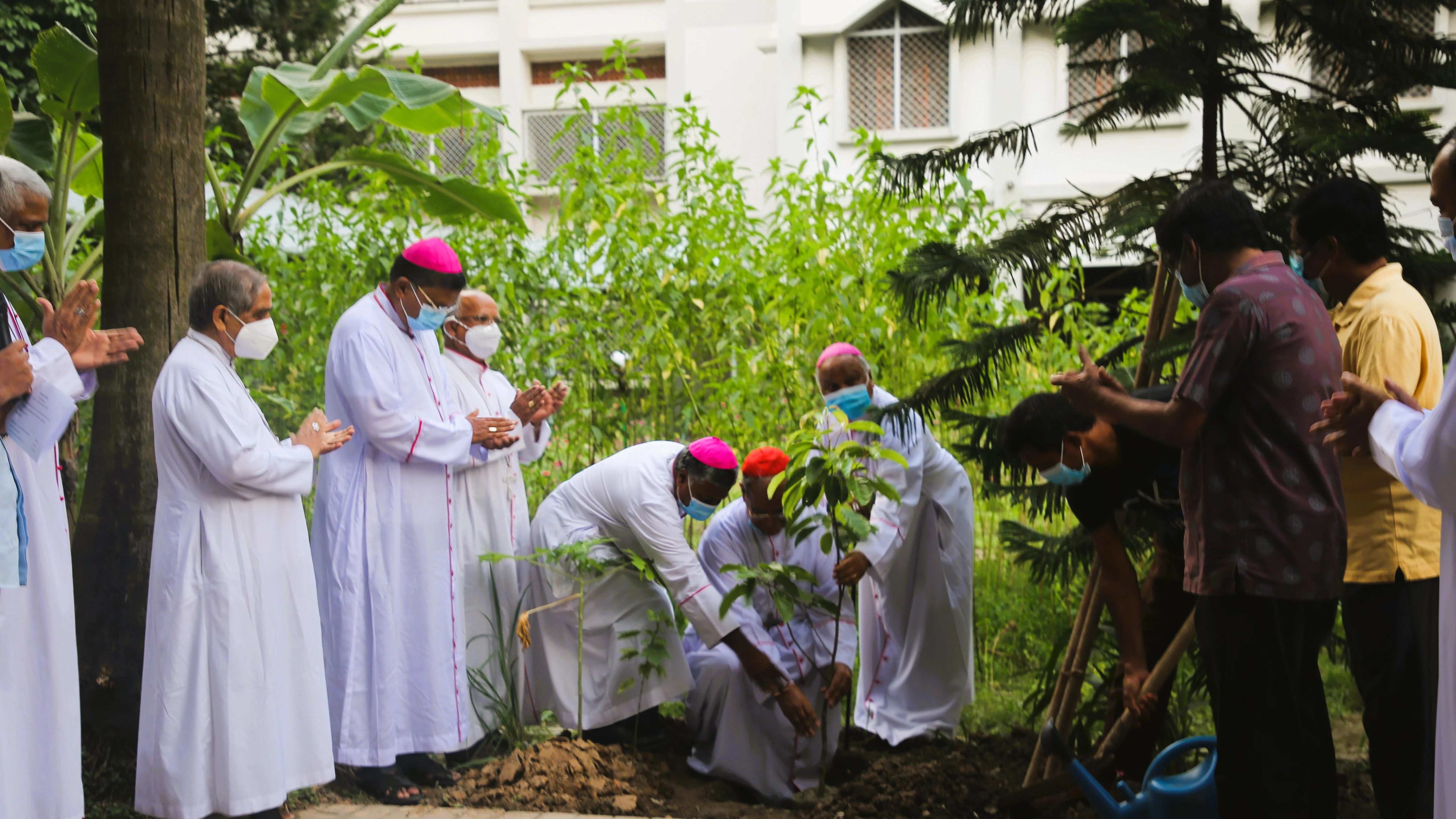 Bangladesh Catholics plant million trees following Pope Francis ...