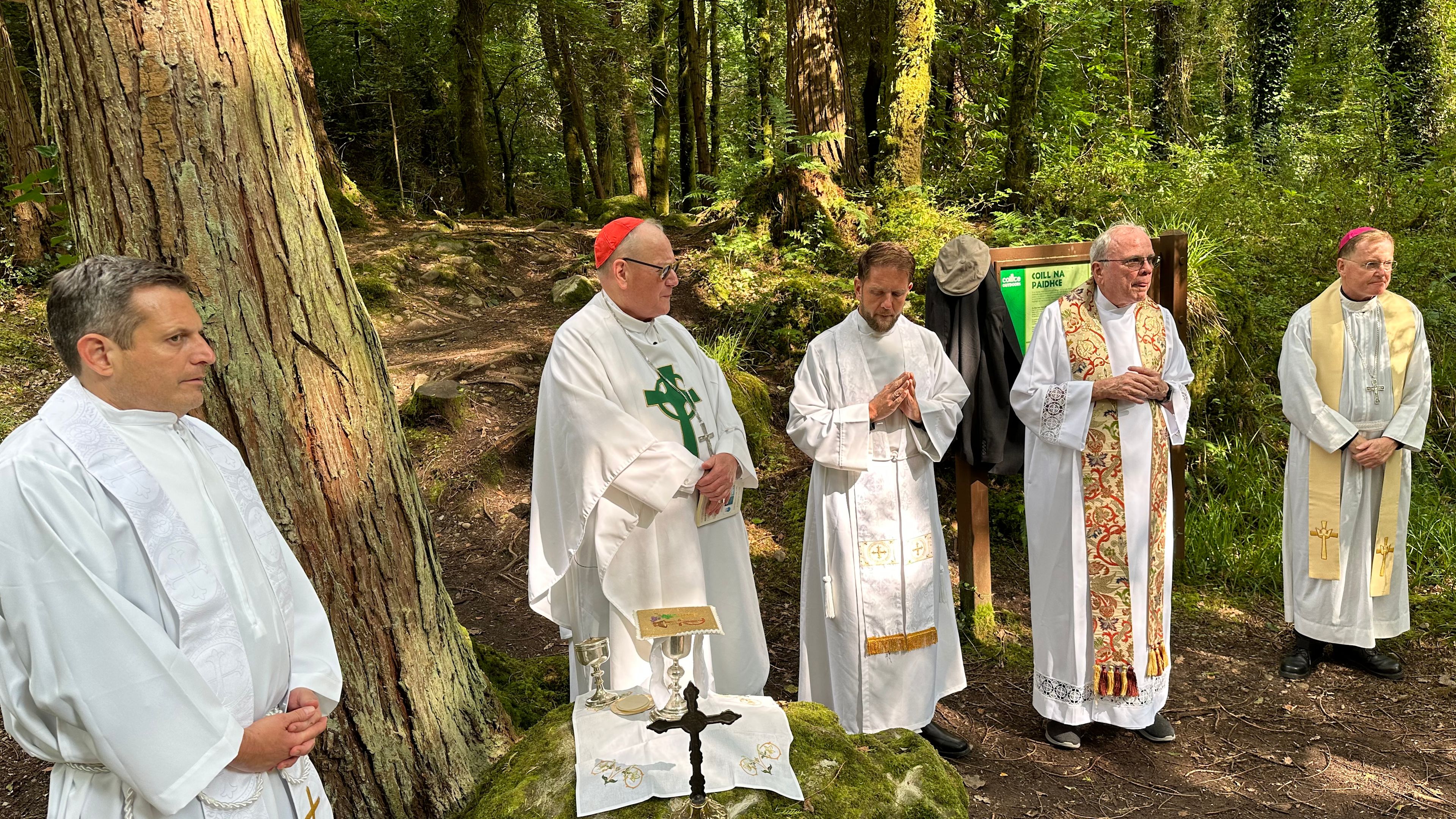 Cardinal Timothy Dolan celebrates Mass at historic ‘Mass rock’ during ...