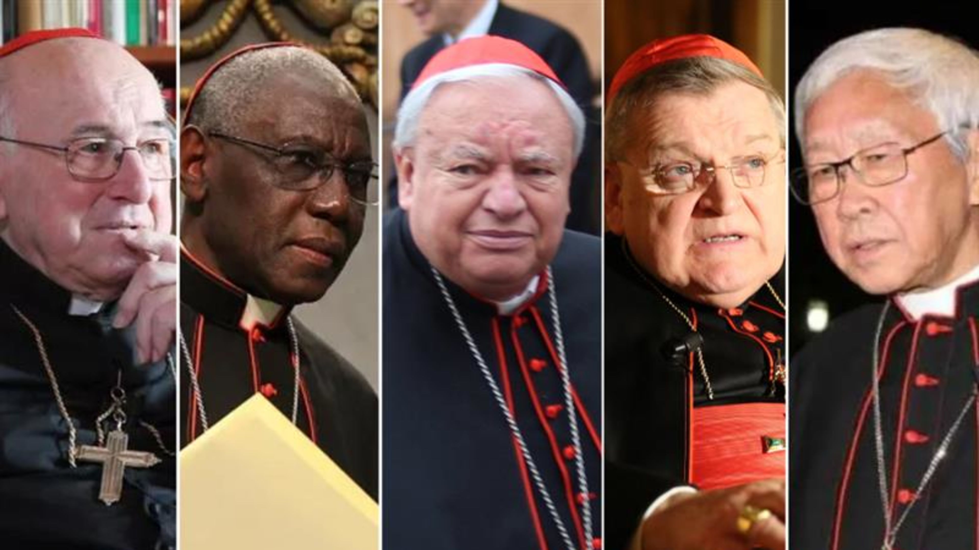 The 5 cardinals behind the latest dubia issued to Pope Francis