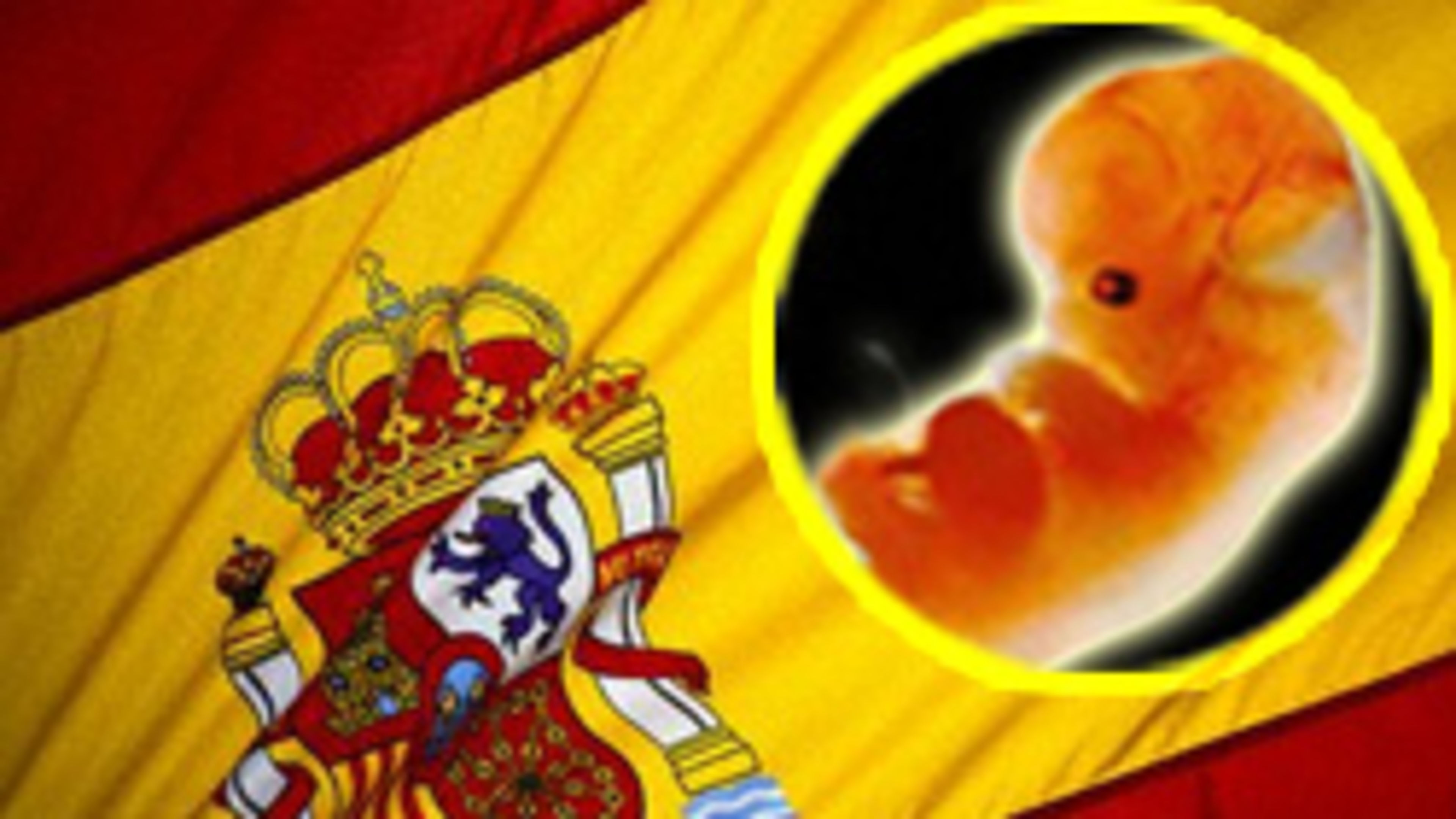 Socialists want to change definition of “human remains” to facilitate ...