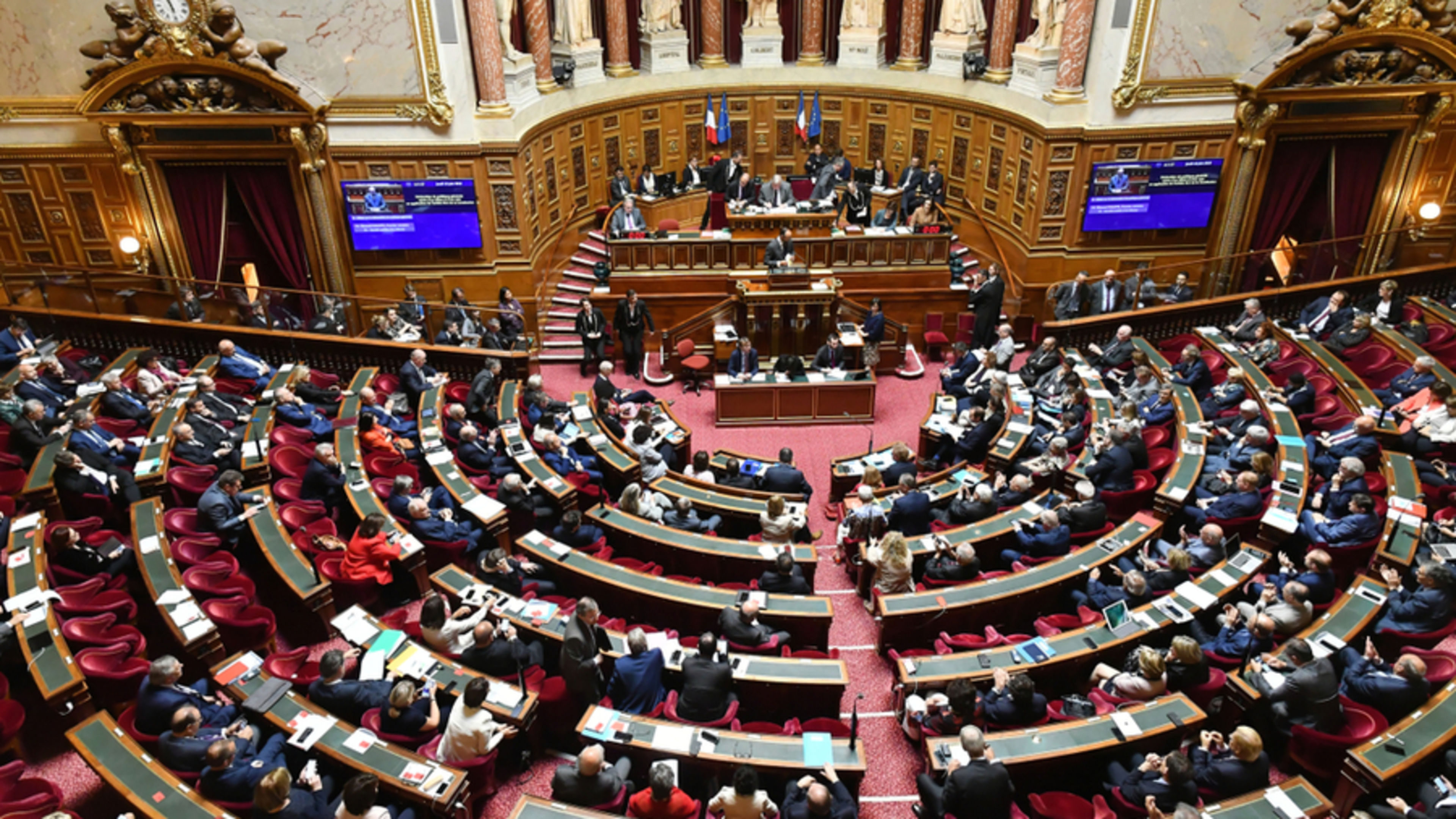 French Senate debates IVF law after thousands protest in Paris streets