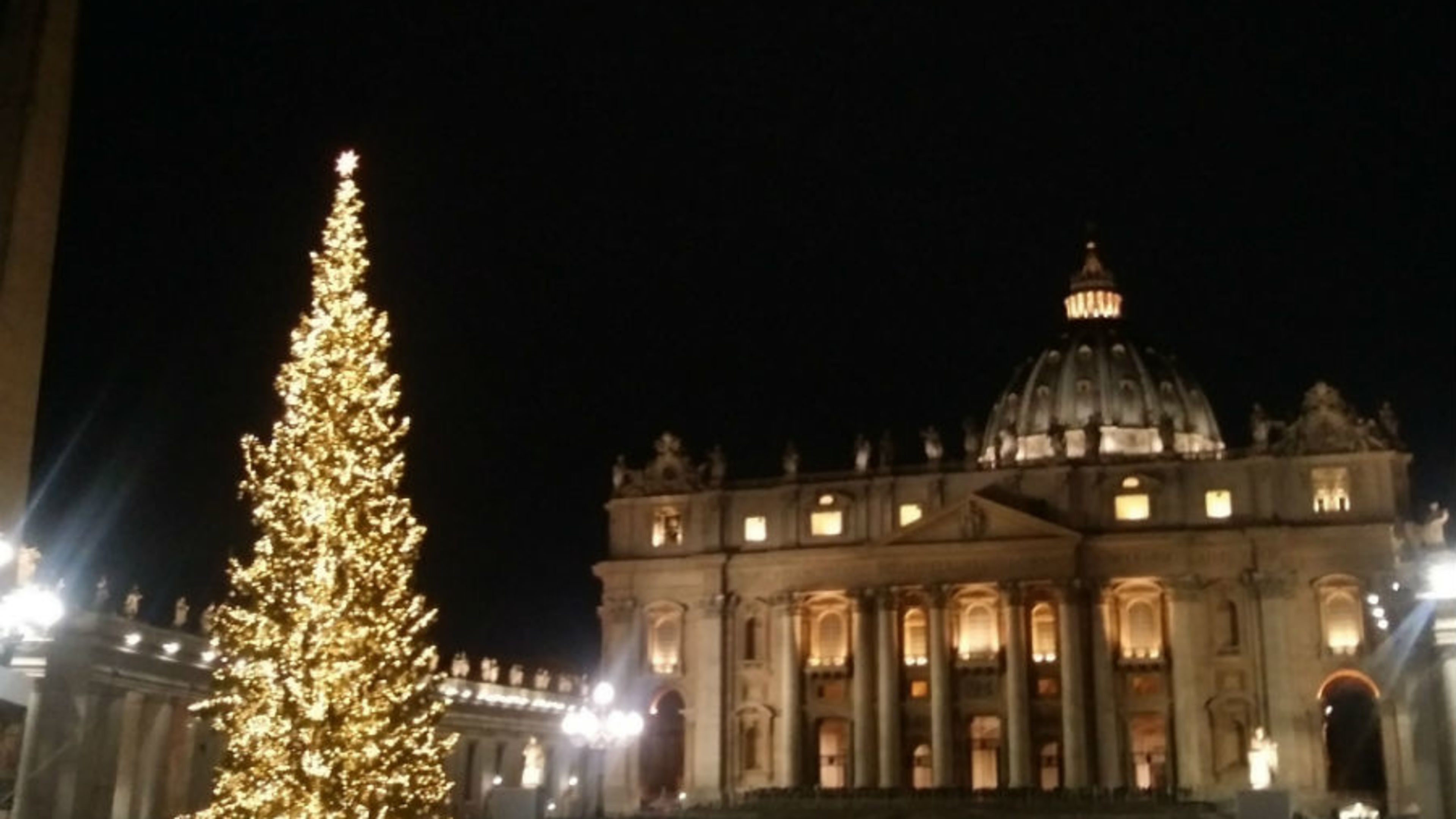 Pope Francis explains symbolism of Vatican Christmas tree and sand nativity
