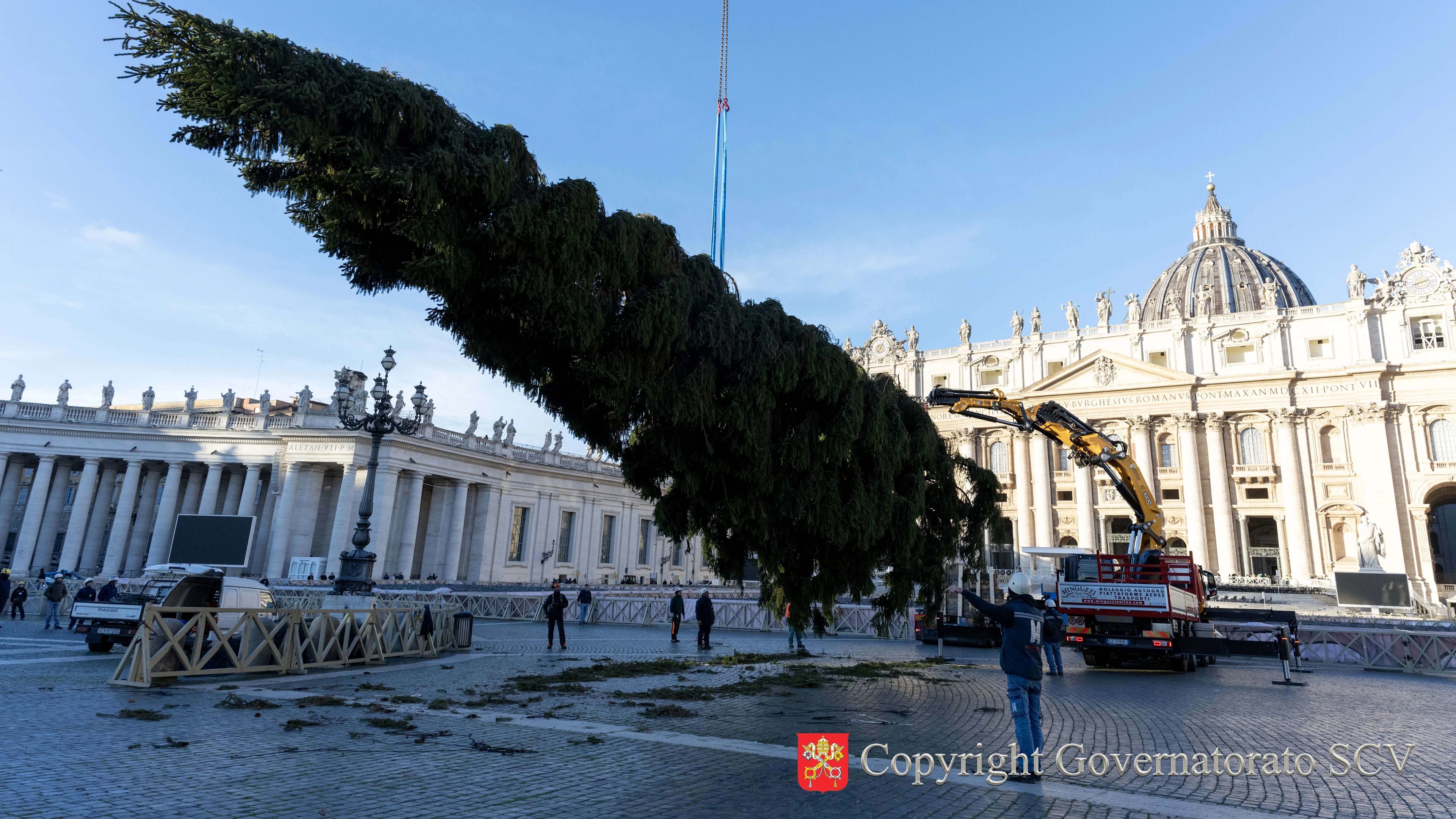 Vatican's 2025 Christmas tree installed in St. Peter's Square
