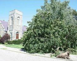 Tropical Storm Irene makes modest impact on Rhode Island parishes