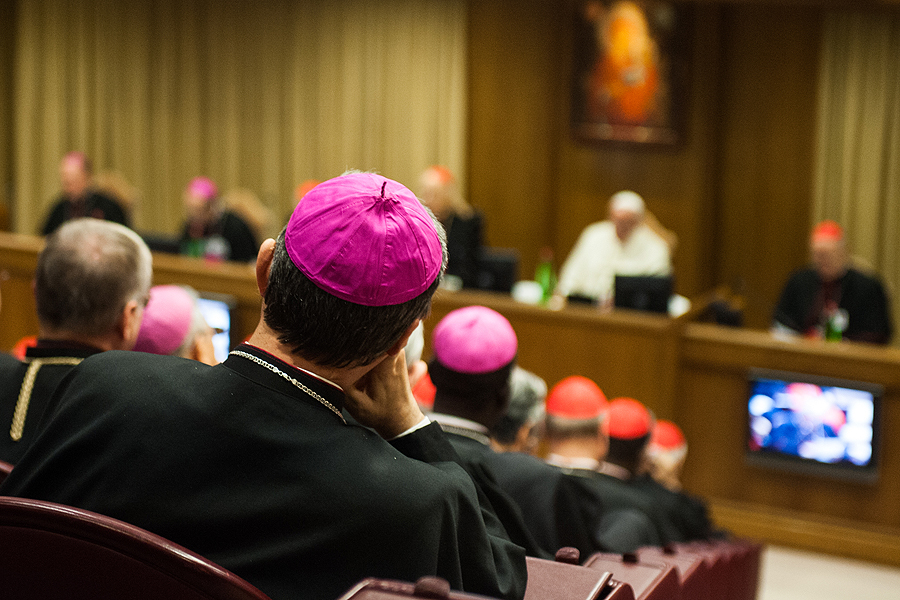 US bishops elect delegates to synod: Kurtz, Chaput, DiNardo, Gomez