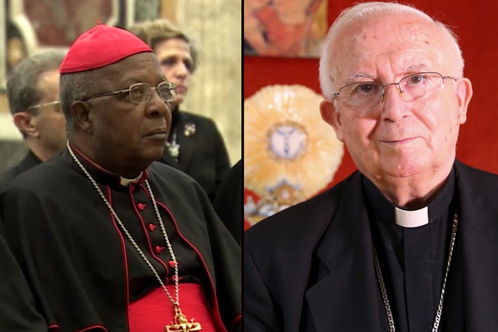 2 cardinal electors bow out: Papal conclave to elect Pope Francis ...